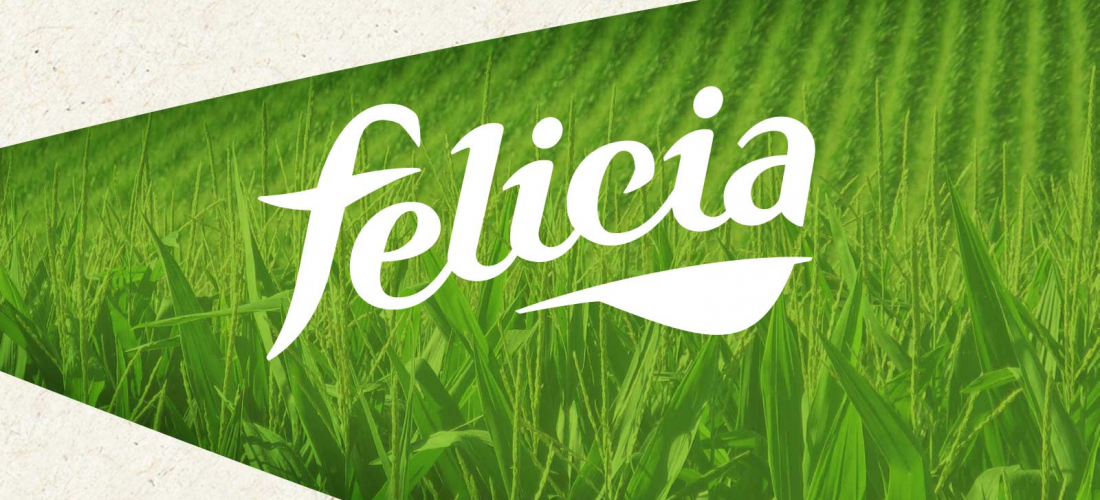 Pasta Felicia - Nick Pitscheider